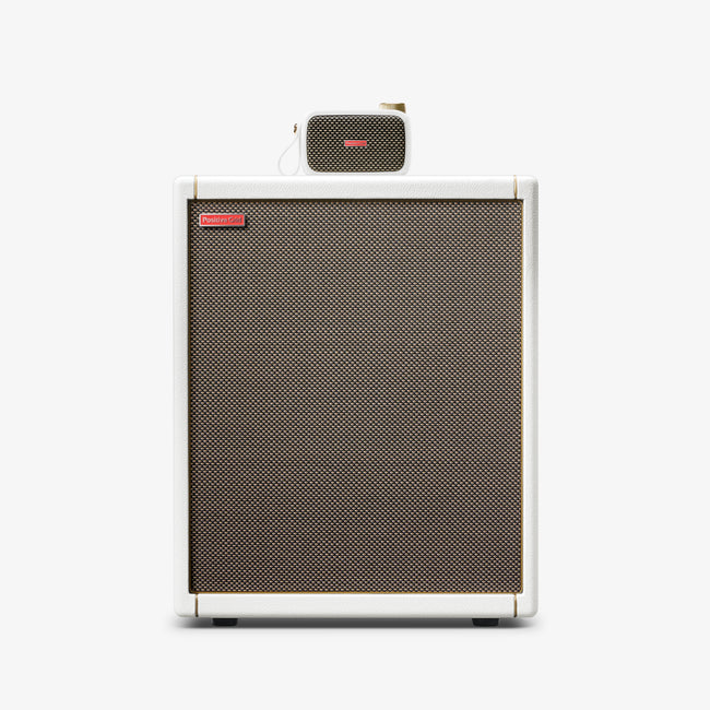 Spark CAB | 140-Watt Class D Powered FRFR Speaker Cabinet | Positive ...